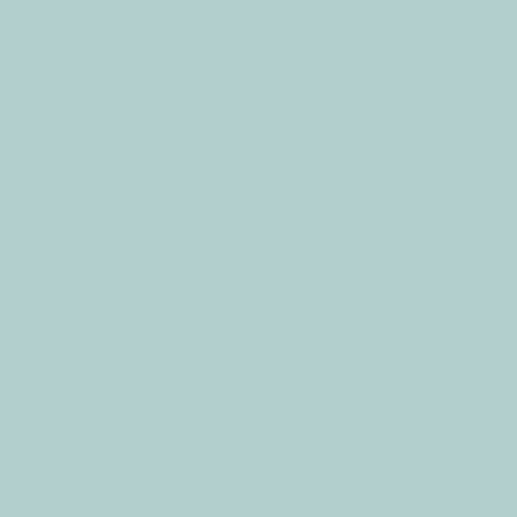 Winter Mint - Panaplast